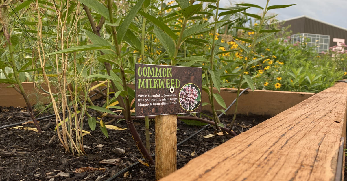 Wayfinding 101 - Graphics Output