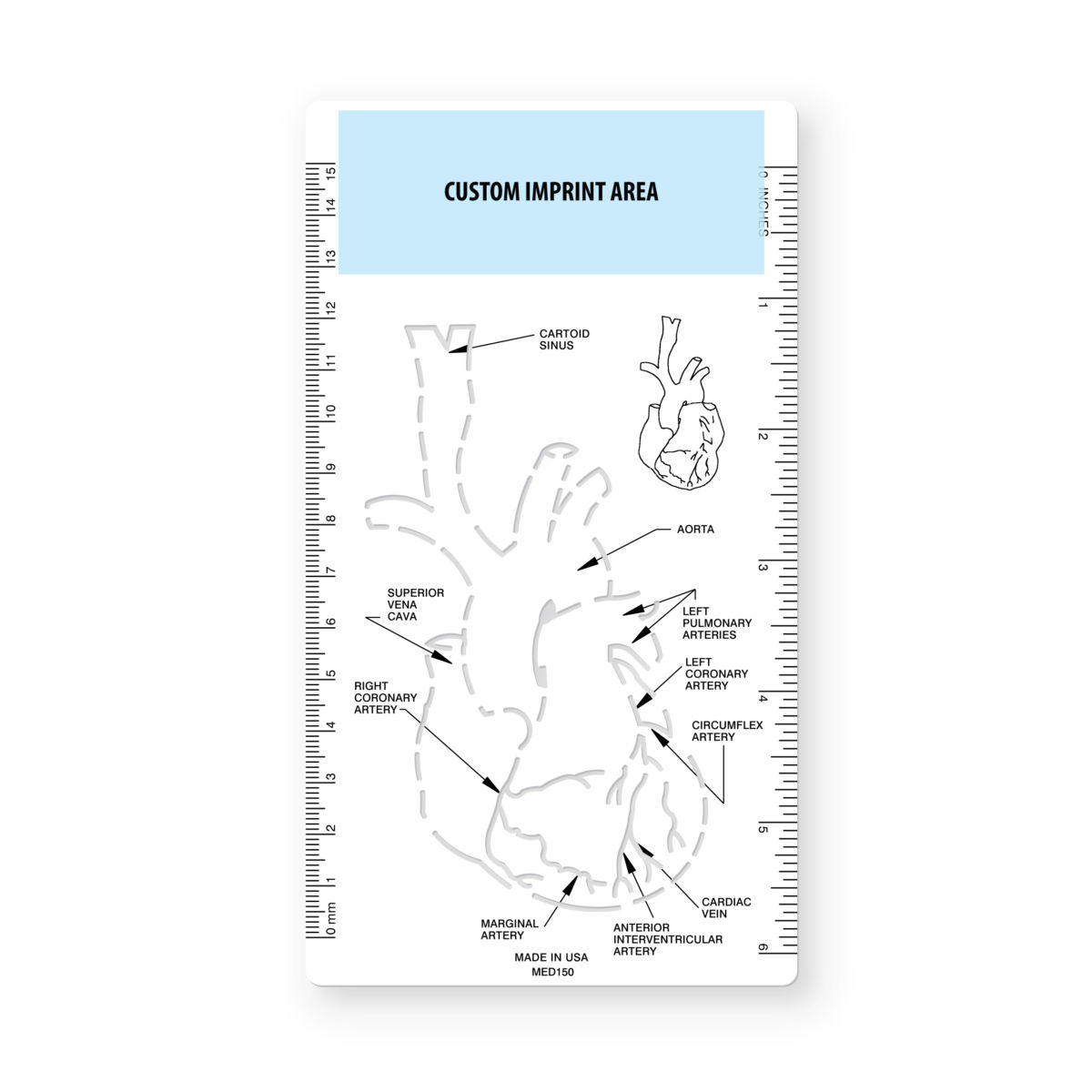 Product Spotlight - Body Part Stencils - Graphics Output